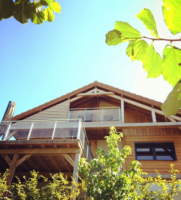 Chalet Gérardmer -Lucy 14 Pers: Piscine Jacuzzi Sauna Billard Baby-foot Pétanque - La Bresse