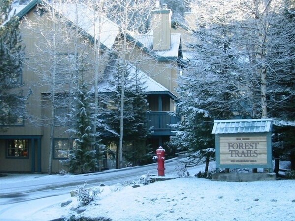 2 Br/2 Ba Townhouse On Blackcomb Mountain - British Columbia