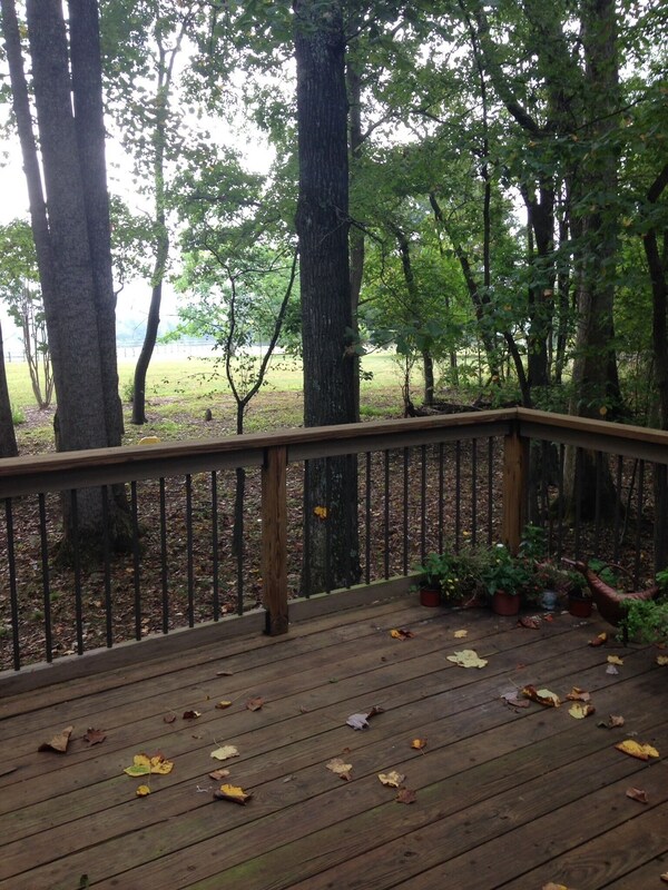 Peaceful Mountain Get Away - Nellysford, VA