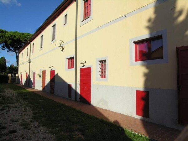 Anwesen / Landgut - Castagneto Carducci - Castagneto Carducci