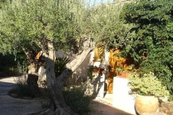 Petite Maison Attenante A Villa A La Faviere ; Bormes Les Mimosas - Bormes-les-Mimosas