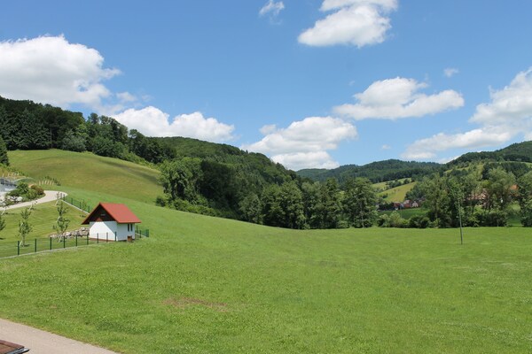 *Europapark-region, Ruhige Idyllische Lage, *Bogenparcours Nah - Freiamt