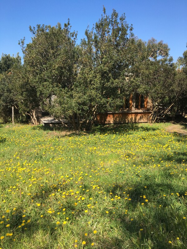 Casa Forcina: Monti Eco Certified House Close To The Beach - Calenzana
