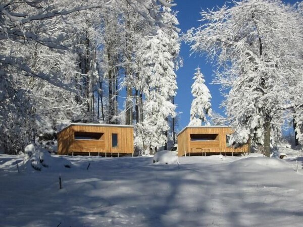 Gemütliches Holzhaus Für 4 Personen In öKologischer Bauweise - Zwiesel