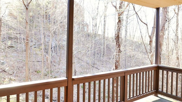 Luxe 10 Guest Cabin/skiing/pools/tennis/gym/hiking - New Jersey