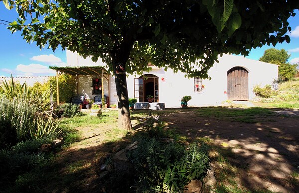 Casa De Campo Rodeada De Viñedos. - Cataluña