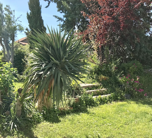 Maison Roucas, Grand Jardin Face à La Plage - Calanques de Marseille