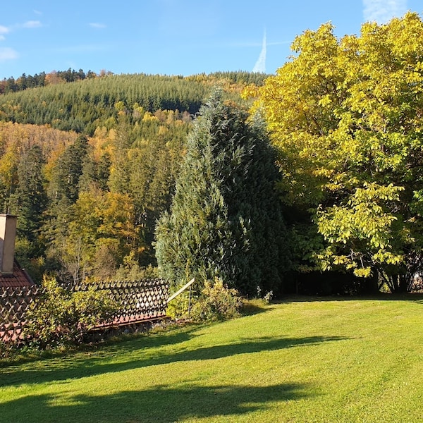 Très Beau Gîte Dans Ferme Vosgienne, Prestations De Qualité - Belmont, France