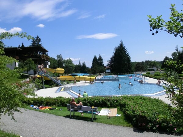Ferienhaus Jägerpark Viechtach 8, Indoor Pool, Wi-fi And Energy Costs Included - Cham