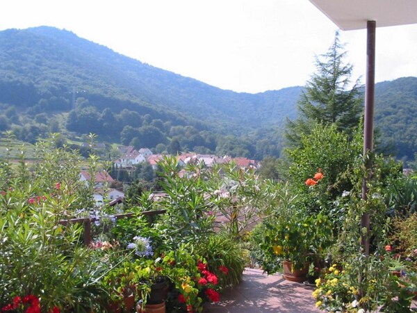 Ferienwohnung Brück - 4-bettwohnung - Annweiler am Trifels