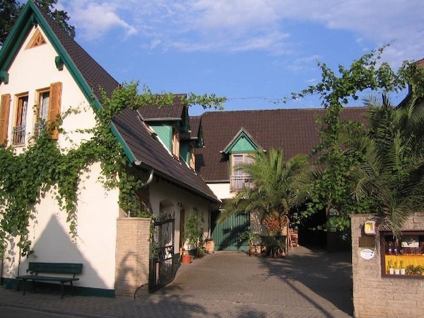 Isenach - An Der Bach - Weingut/fewo's, Fam. Kohl - Frankenthal (Pfalz)