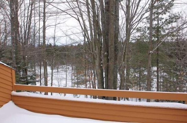 Lovely 2 Bdrm Loft, 2 Bath Trout Creek Condo #113. On-site Pools, Tennis. Free Shuttle To Nubs Nob - Harbor Springs, MI