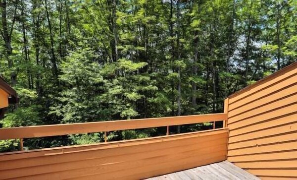 2 Bedroom Loft, 2 Bath Trout Creek Condo #118. Lots Of On-site Amenities. Close To Golf, Skiing - Harbor Springs, MI