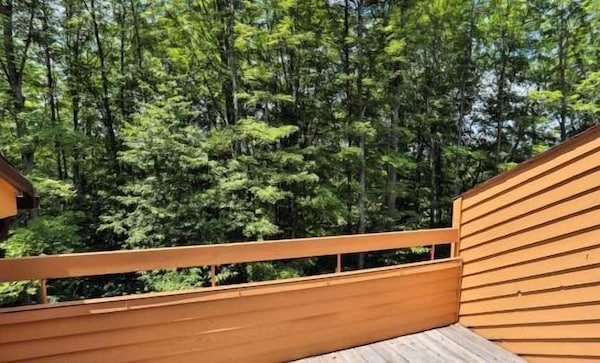 2 Bedroom Loft, 2 Bath Trout Creek Condo #118. Lots Of On-site Amenities. Close To Golf, Skiing - Harbor Springs, MI