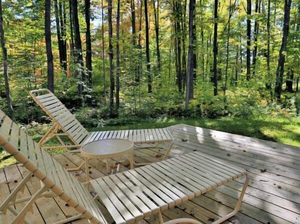 Trout Creek Condo #121, Harbor Springs Condo! Beautiful, Get Away For Any Season - Harbor Springs, MI