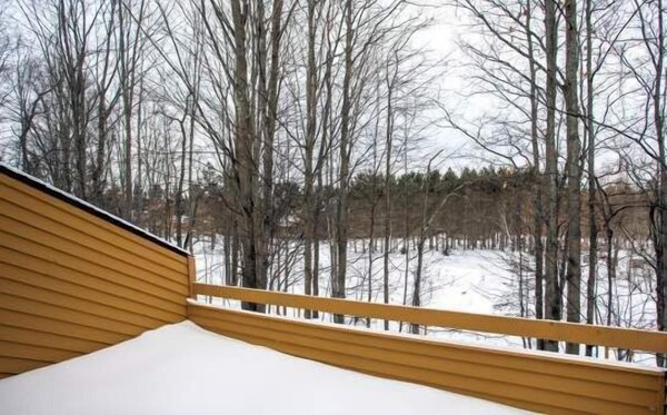 Trout Creek Condo #127 - 2 Bedroom Loft, 2 Baths - Sleeps 8 - Harbor Springs, MI