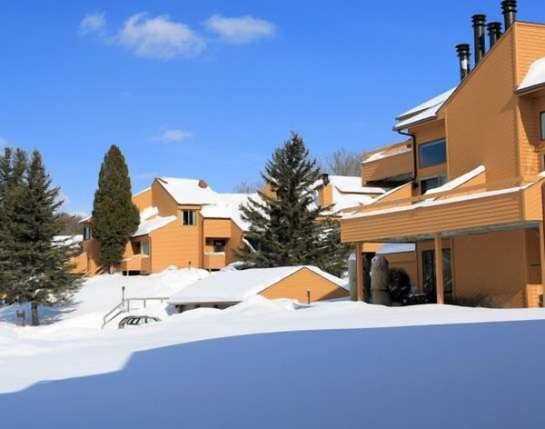 Lovely 3 Bedroom Loft Trout Creek Condo #22. Walk To Fitness Center, Indoor Pool, Pickleball - Harbor Springs, MI