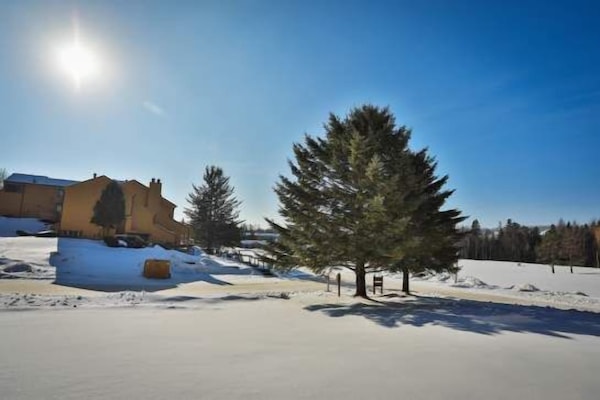 Cozy 1 Bedroom Condo #31 By Fitness Center, Pool, Hot Tub. Trout Creek Condos. - Harbor Springs, MI