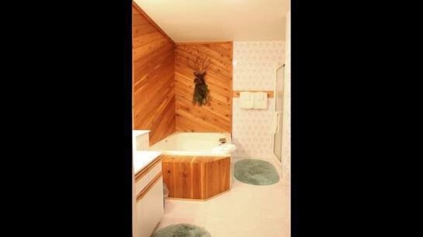 Trout Creek Condo #42 - 3 Bedroom Loft - Petoskey, MI