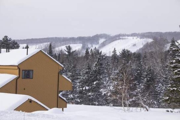 One Bedroom, Spacious Trout Creek Condo #55. On-site Amenities. Close To Nubs Nob With Free Shuttle - Harbor Springs, MI