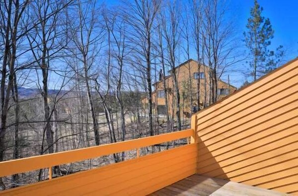 Lovely 2 Bedroom Loft Trout Creek Condo #76. Ski, Golf Discounts Available. Pools, Hot Tubs, Tennis - Harbor Springs, MI