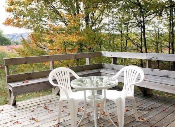 Kitchen, Stone Fireplace, Jacuzzi. Trout Creek Condo #82 - 2 Bedrooms 2 Baths. Pools, Tennis, Hiking - Petoskey, MI