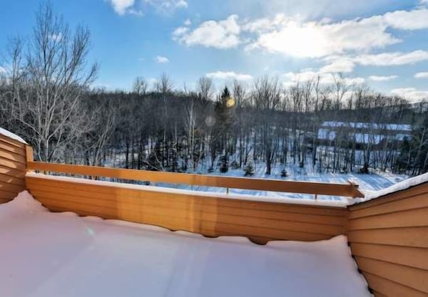 Close To Skiing, Golf, Lake Michigan. Trout Creek Condo #94 - 3 Bedroom Loft. Sleeps 8 - Harbor Springs, MI