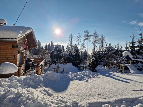 Ferienhaus In Der Natur Mit Whirlpool Und Sauna, Hunde Willkommen - Wolfsberg