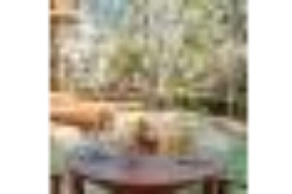 Cenote Lodge: Entire House Surrounded By Nature & Natural Pool - Tulum