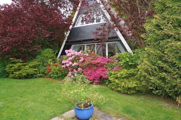 Tent Roof House For The Whole Family - - With Forest View And Fiber Optics - Waabs