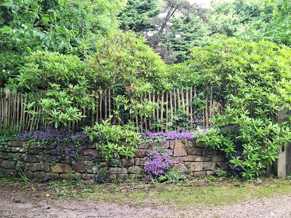 Zeitgenössische Villa In Einer Waldreichen Umgebung - Bénodet