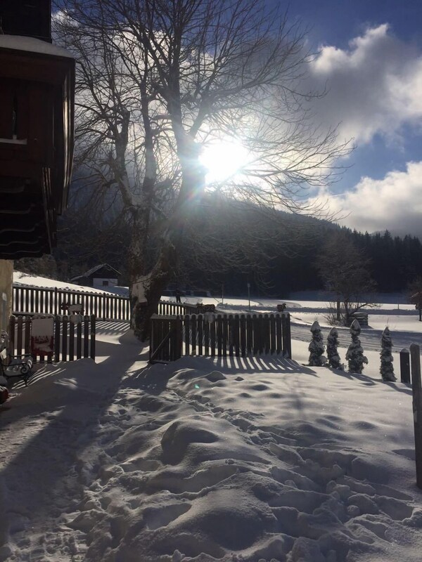Apartment - Mariazell