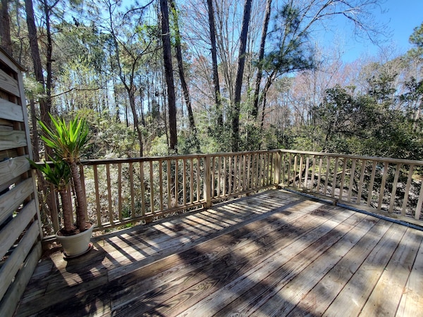 Beautifully Furnished  Townhouse  On James Island, 3 Minutes To Downtown. - Charleston, SC
