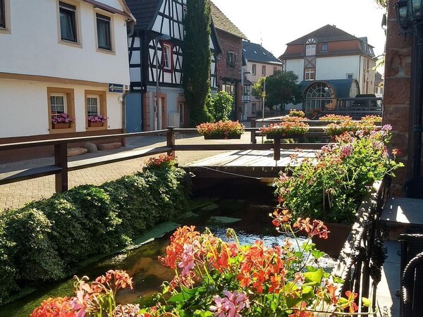 Ferien In Annweiler - 4-bettwohnung - Annweiler am Trifels