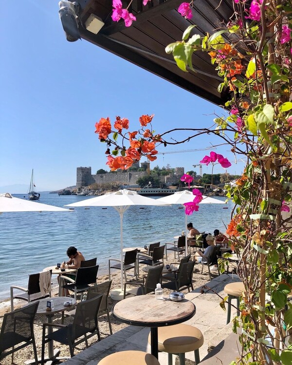 Rhino Suite-direct On Beach-heartbeat-at City Center-surfer Caravan Gastro Pub - Bodrum