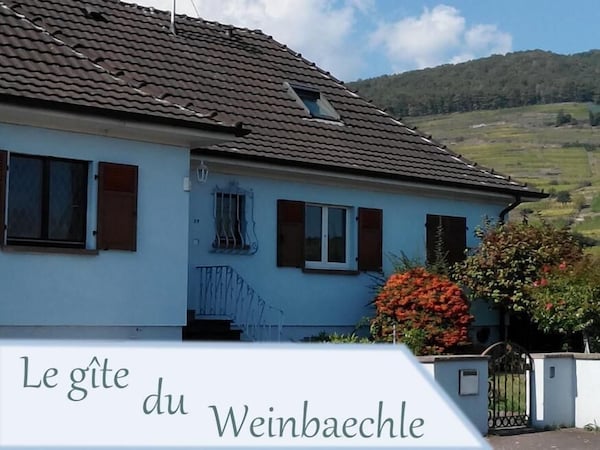 12 Person House -  Gite Du Weinbaechle - シュヴァルツヴァルト