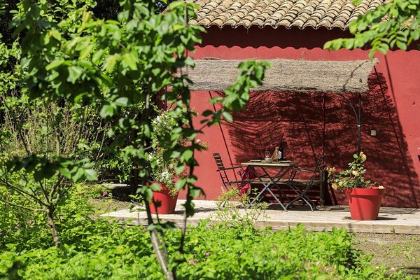 Domaine De Rhodes - Cottage Ventoux - Avignon