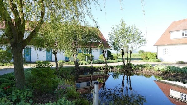 Ferienhaus Sonnenblume - Dranske