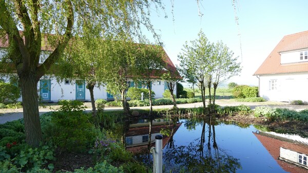Ferienhaus Sonnenblume - Dranske