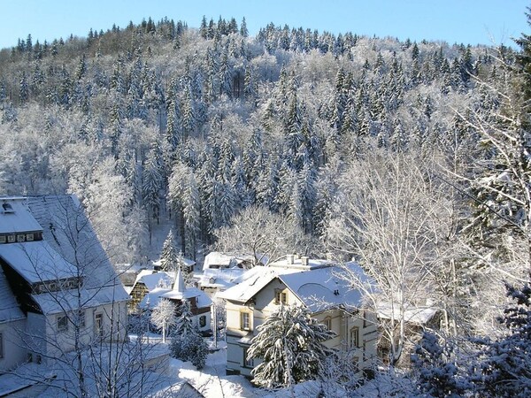 Ferienwohnung 3 Hofehübel - Ferienwohnungen "Villa Angelika" - Altenberg