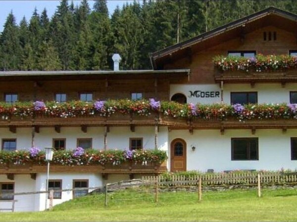 Apartment 22 | Bedroom & Living-bedroom - Schwüwong Kelchsau - Westendorf