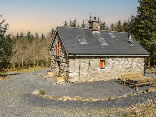Brithgwm Canol, Pet Friendly, Character Holiday Cottage In Dolgellau - Dolgellau