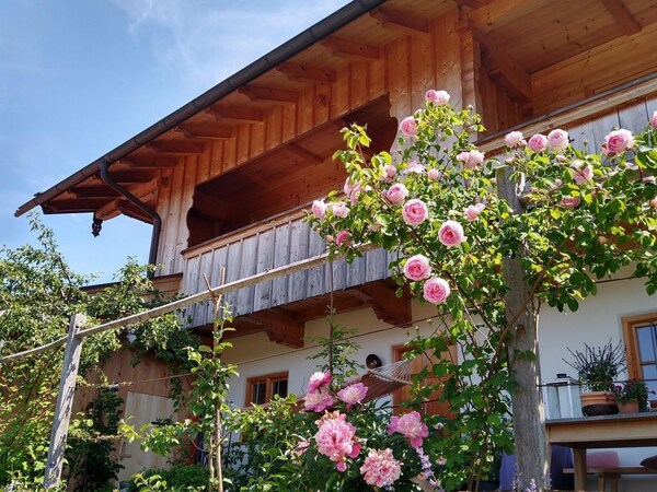 Ferienwohnung Holzzeit - Ferienwohnung - Saulgrub