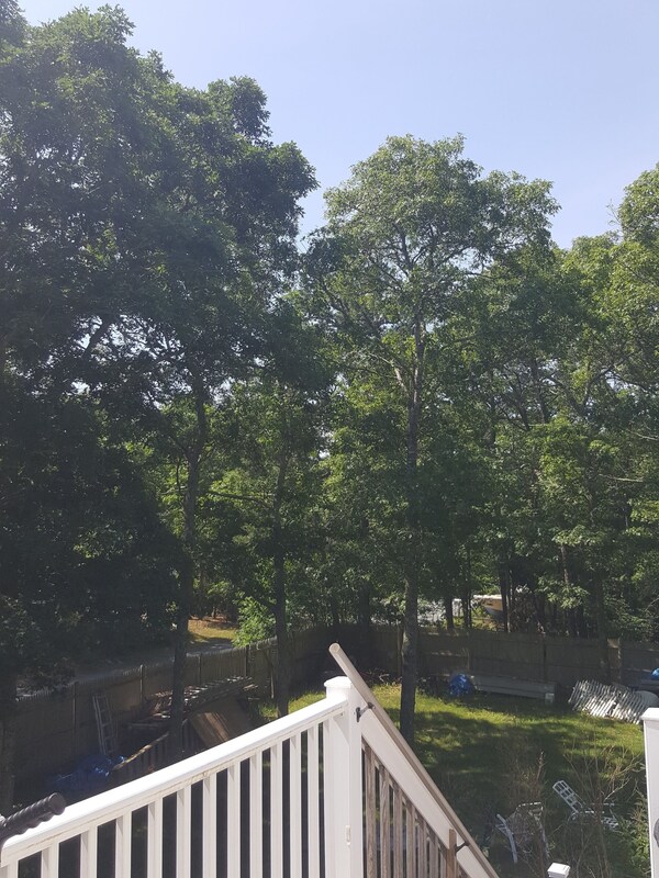 Dog Friendly, Clean Studio With Separate Entrance 2.4 Miles To Beach - Barnstable, MA