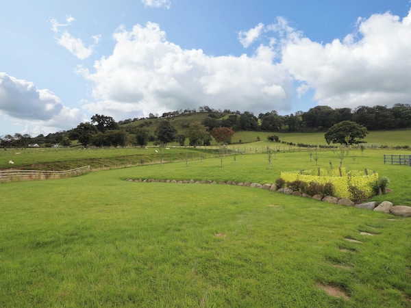 Y Granar (The Granary, Family Friendly In Llanrhaeadr-ym-mochnant - Shropshire