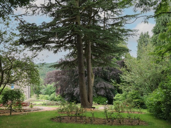 Bethany B, With A Garden In Calver - Bakewell
