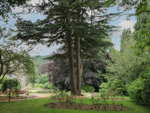 Bethany B, With A Garden In Calver - Bakewell