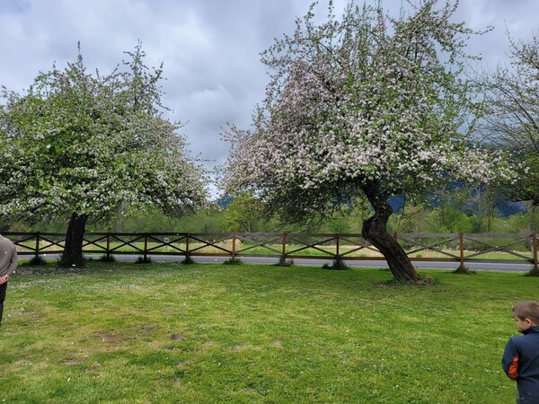 40 Minutes From White Pass! Ev Charging! New Photos Coming After Remodel. - Packwood, WA