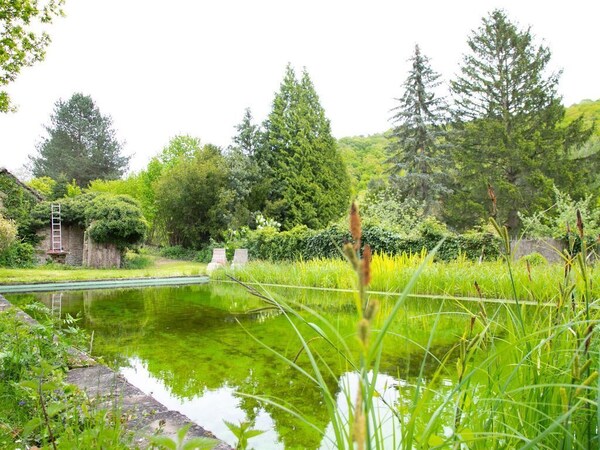 Alte Villa Meisenheim - 4-bettwohnung - Meisenheim