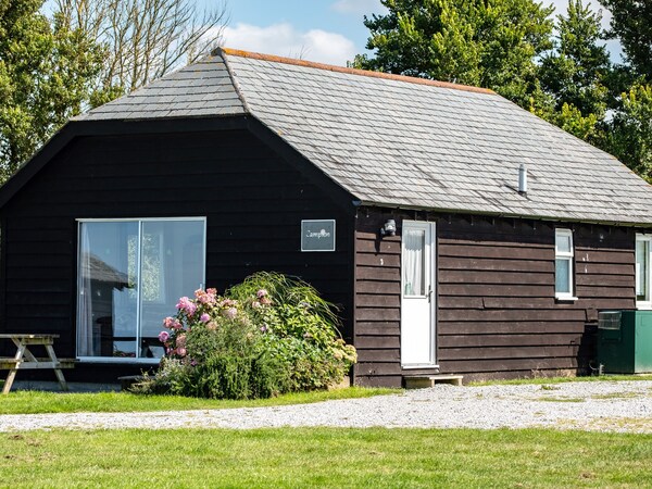 Campion Lodge, Pet Friendly, Character Holiday Cottage In Port Isaac - Port Isaac